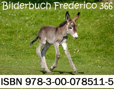 Asinella Eselfarm, Eselwanderungen, Eselunterricht, Horsemanship mit ...